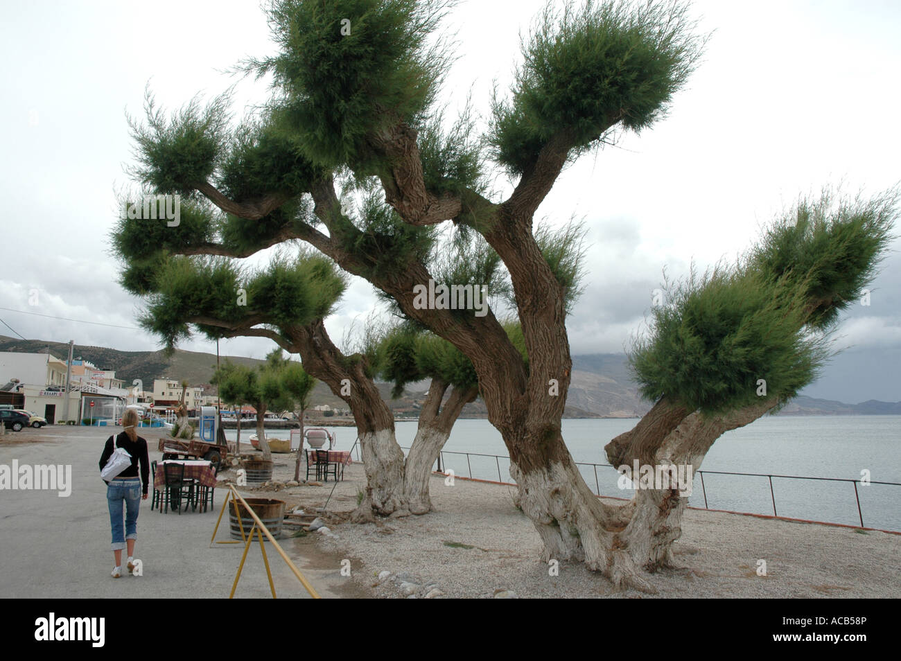 embankment in Kissamos (Kastelli) town, greek isle of Crete Stock Photo ...