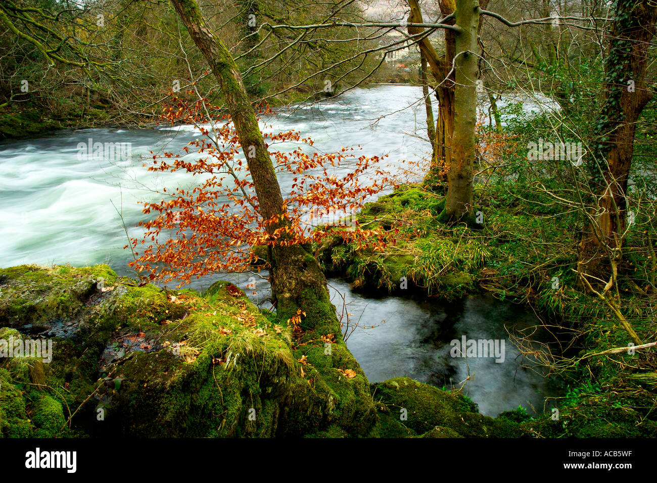 River Kent, Kendal, Cumbria, United Kingdom Stock Photo - Alamy