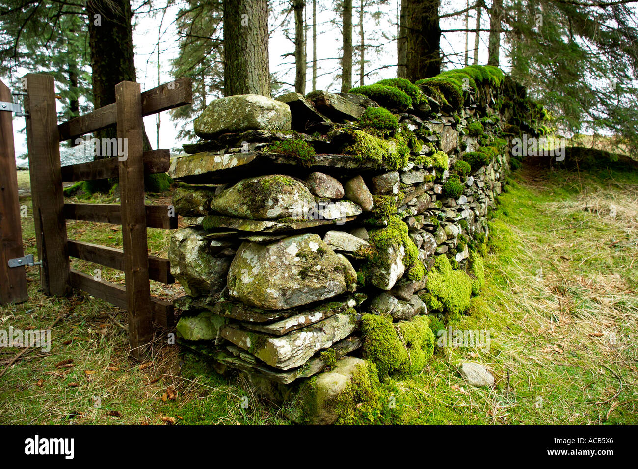Tradtional Cumbrian stone wall, The Tarns, Hawkshead, Cumbria, United ...