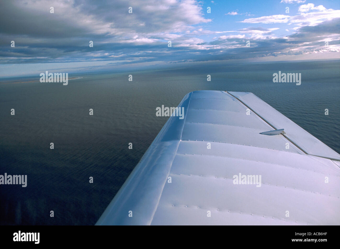 Lion flying airplane hi-res stock photography and images - Alamy