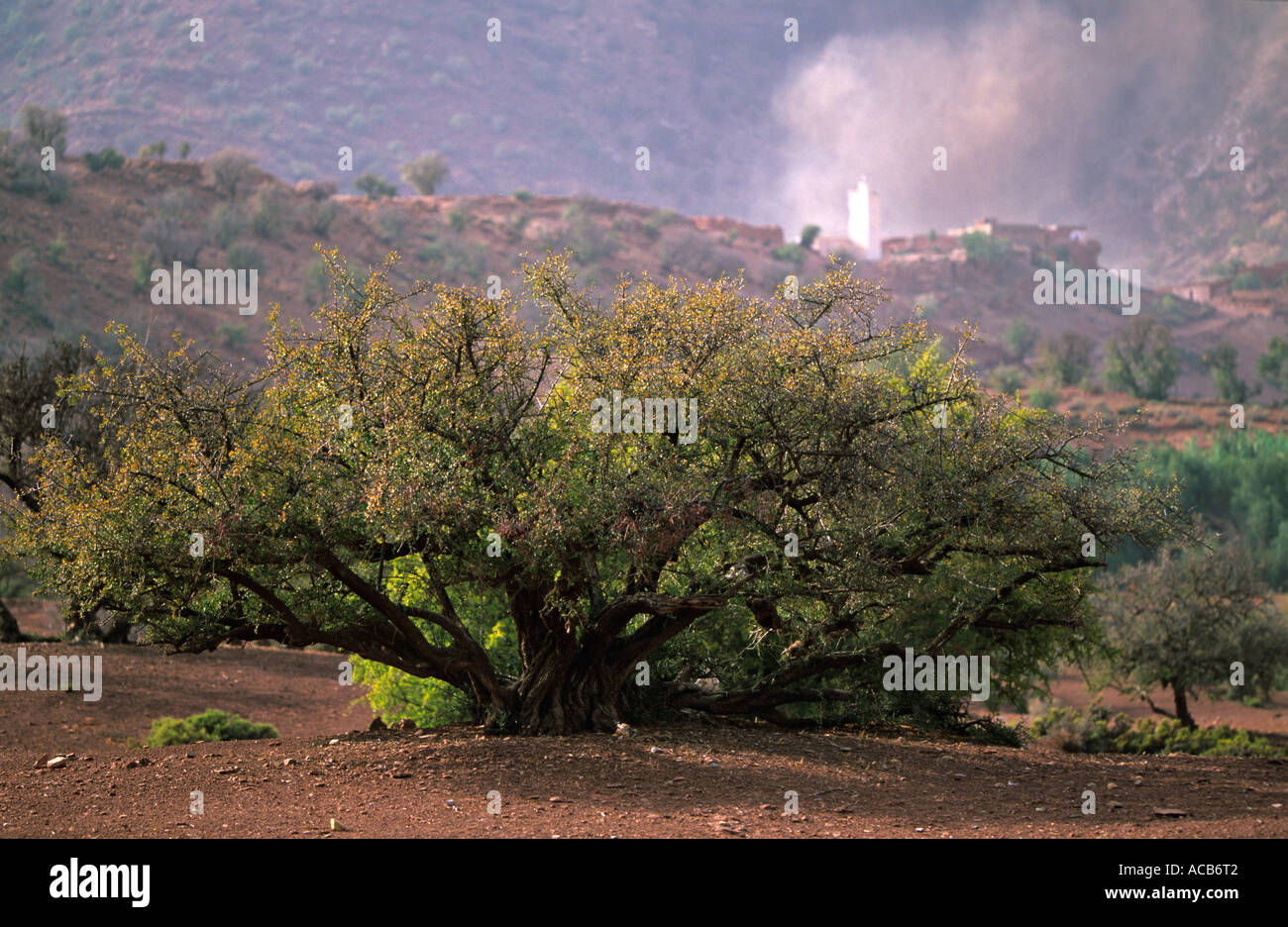 Morocco high atlas high plateau hi-res stock photography and images - Alamy