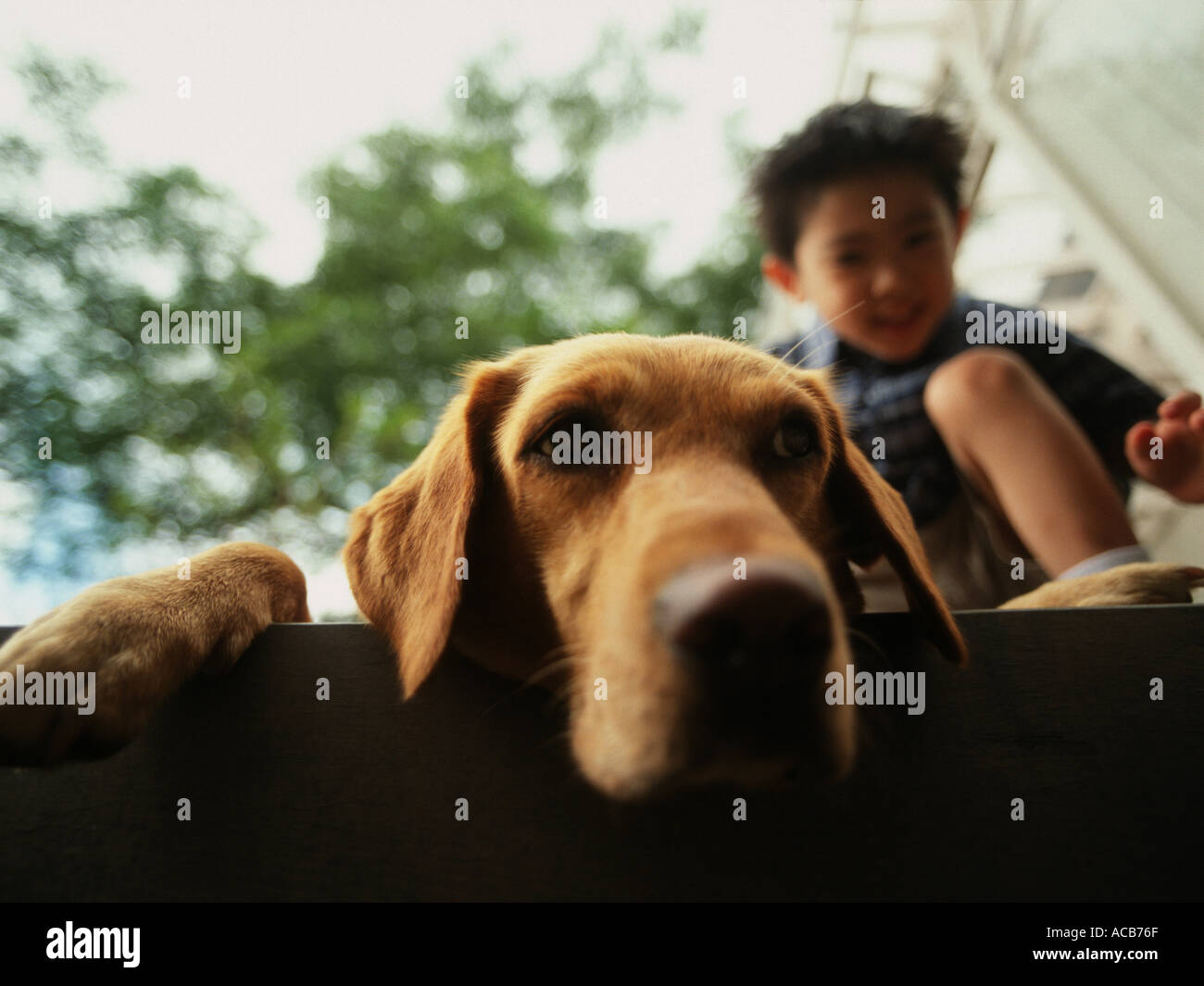 Weekend Family Skip Stock Photo - Alamy