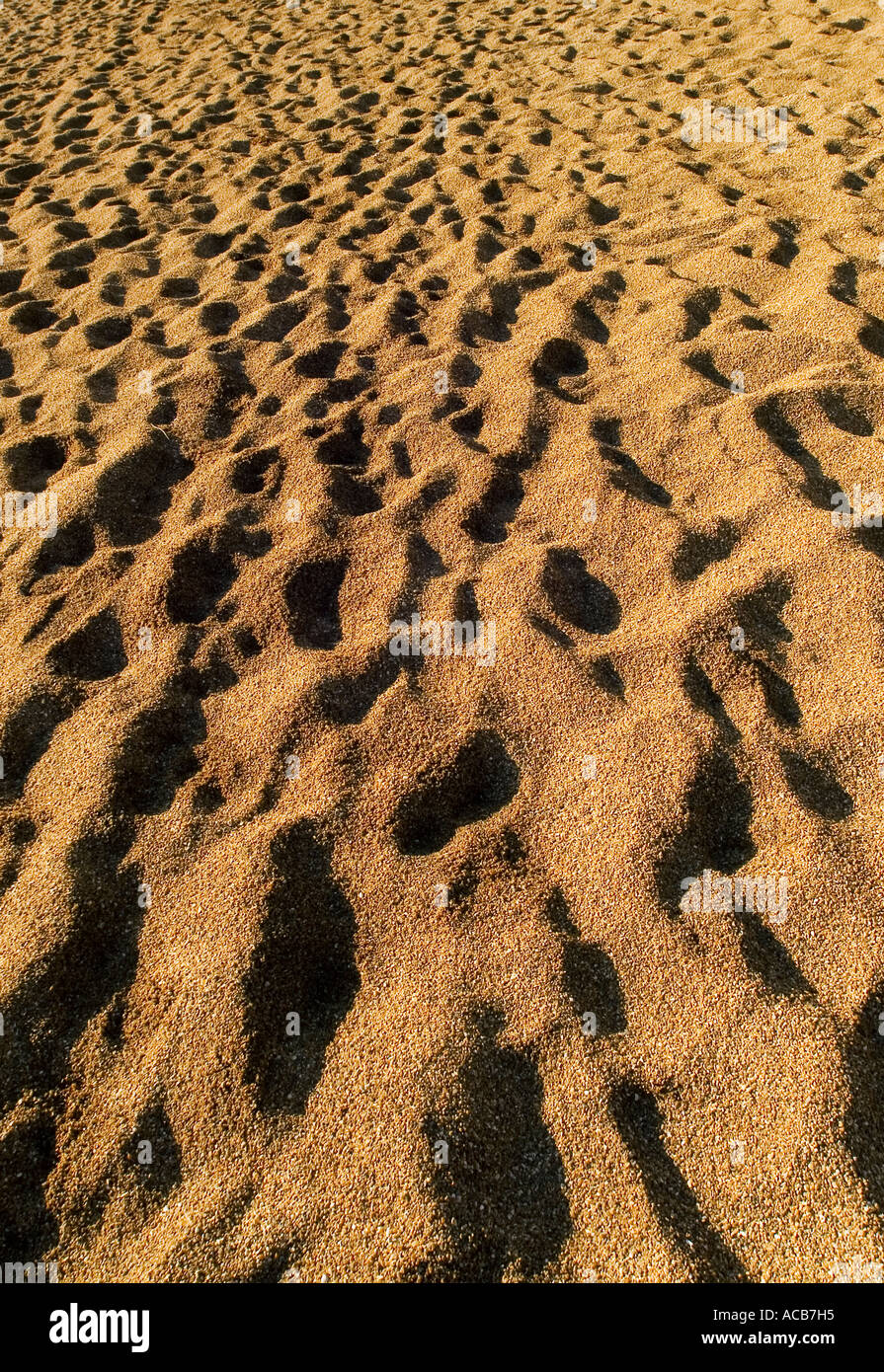 Patterns created by footprints in soft sand at Durdle Door beach DORSET ...