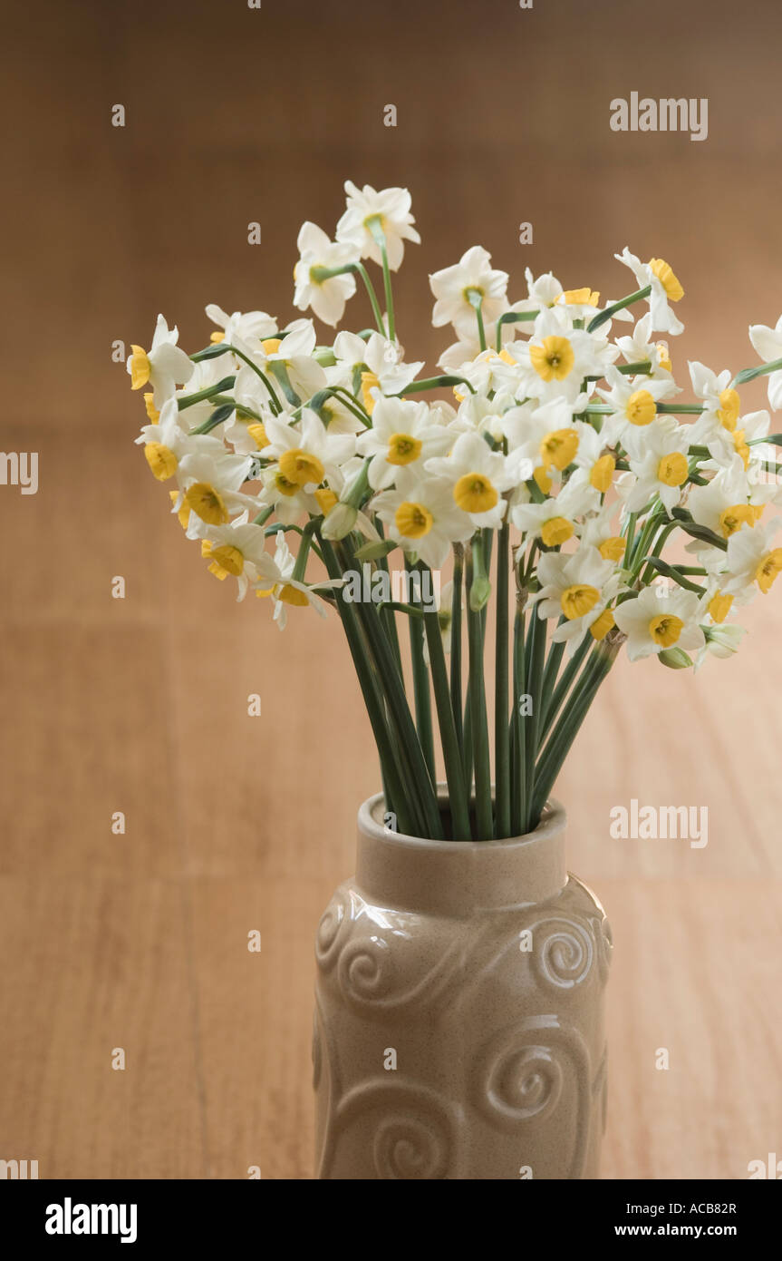 Close-up of a flower pot Stock Photo - Alamy