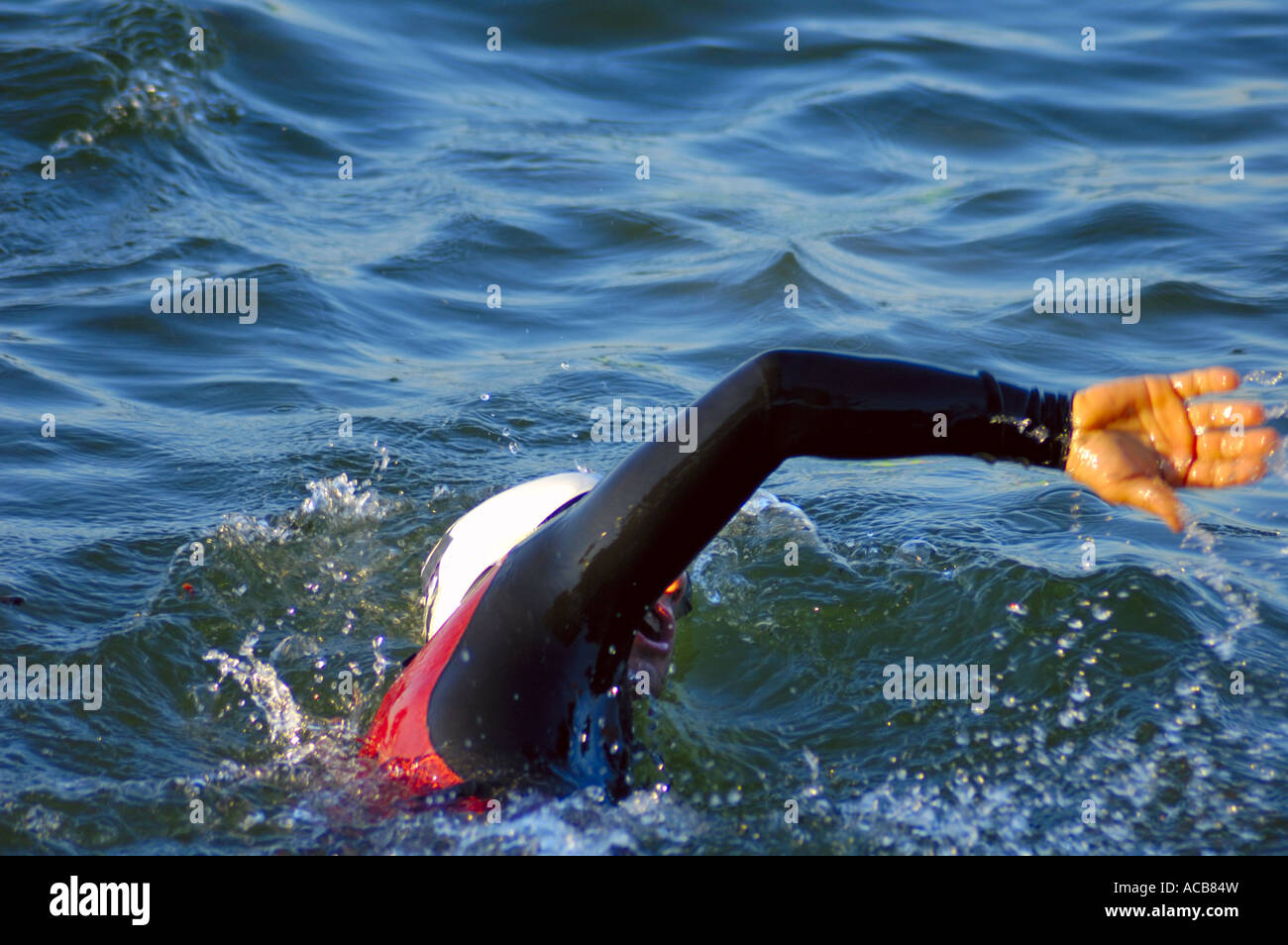 Swimmer wetsuit pool hi-res stock photography and images - Alamy
