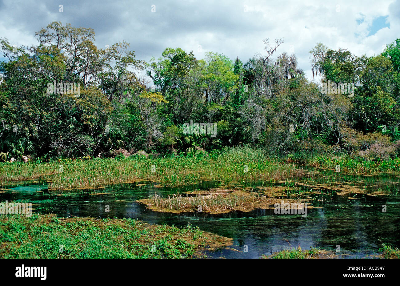 Rainbow springs state park dunnellon hi-res stock photography and ...