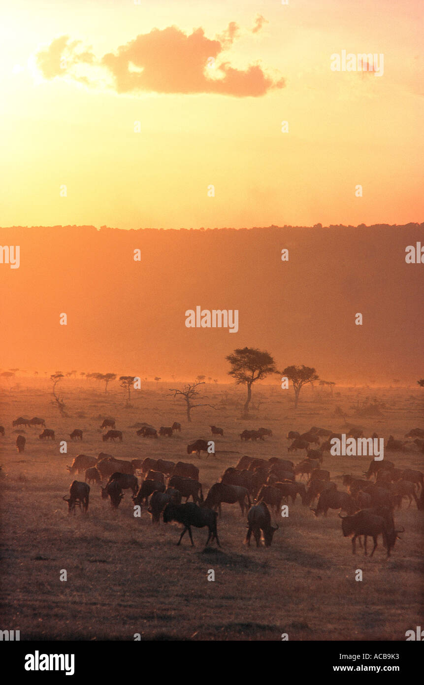 Oloololo escarpment hi-res stock photography and images - Alamy