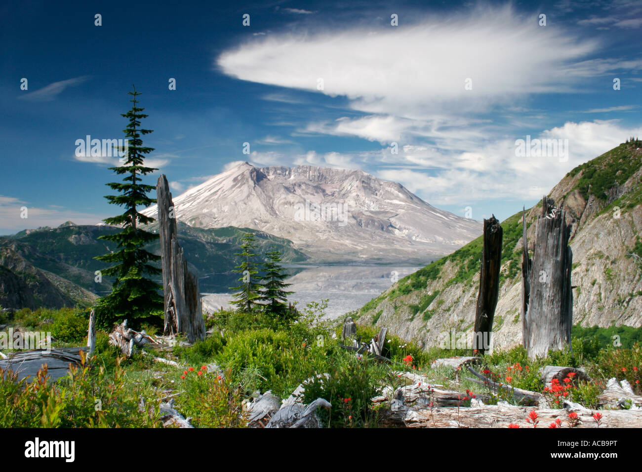 Mount St. Helens from the Boundary Trail, Mount St. Helens National ...