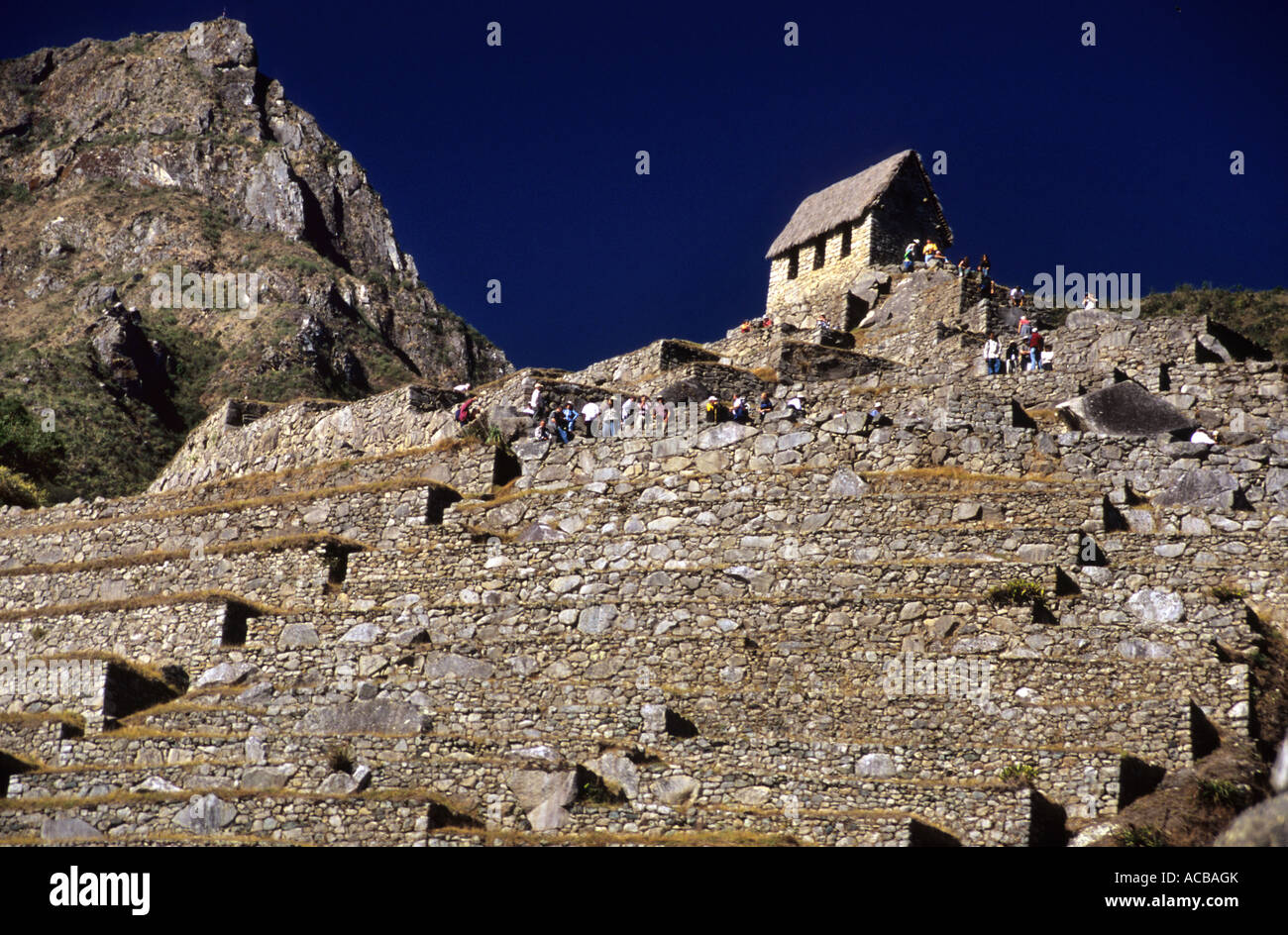 Inca terraces in the ancient remains of Machu Picchu, Peru Stock Photo ...