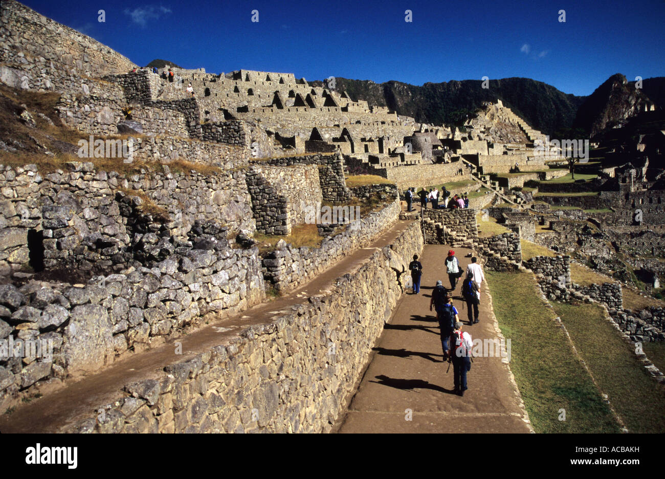 Stone terraces on the ancient remains of Machu Picchu, Peru Stock Photo ...