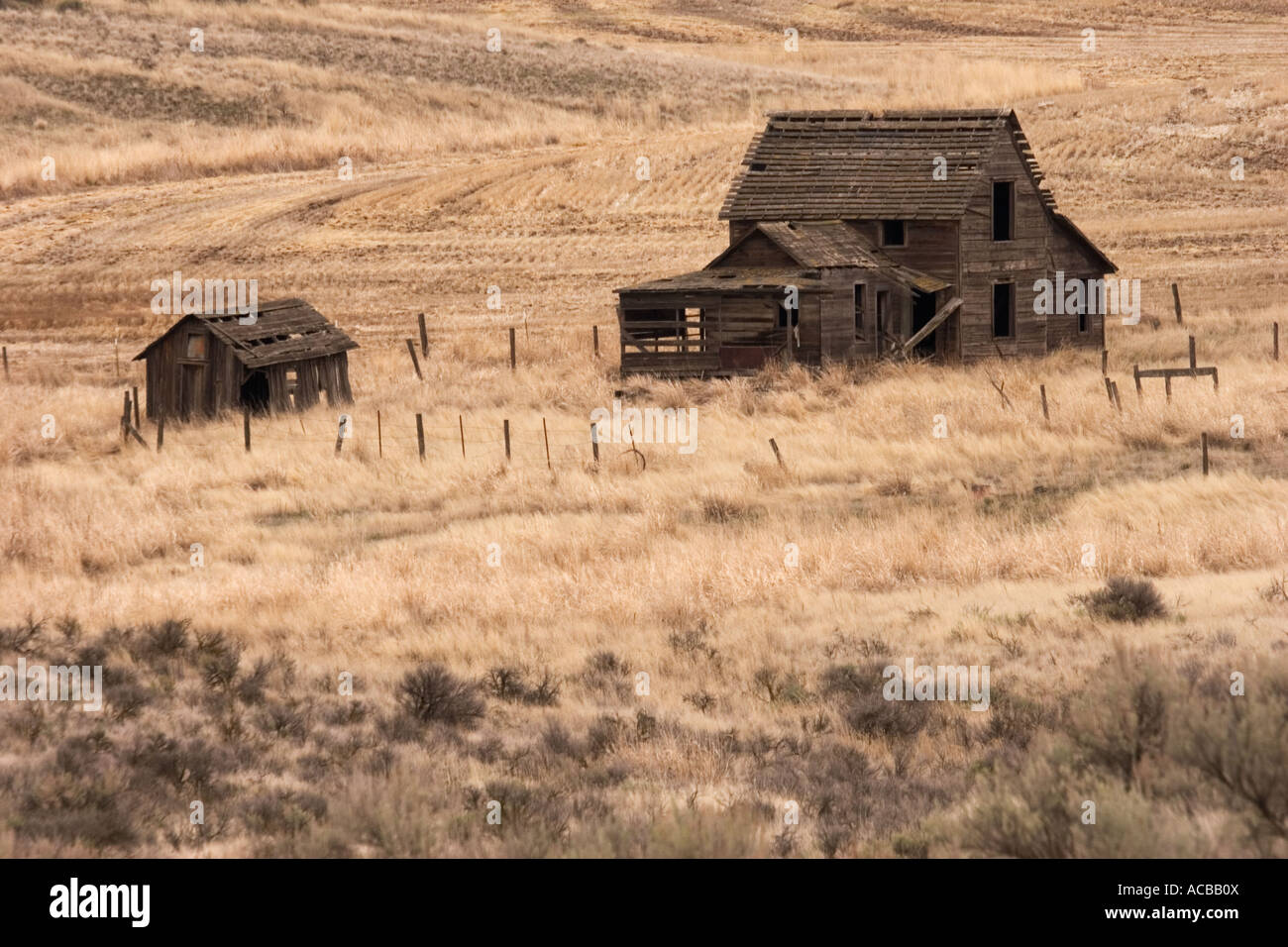 Wilbur washington hi-res stock photography and images - Alamy