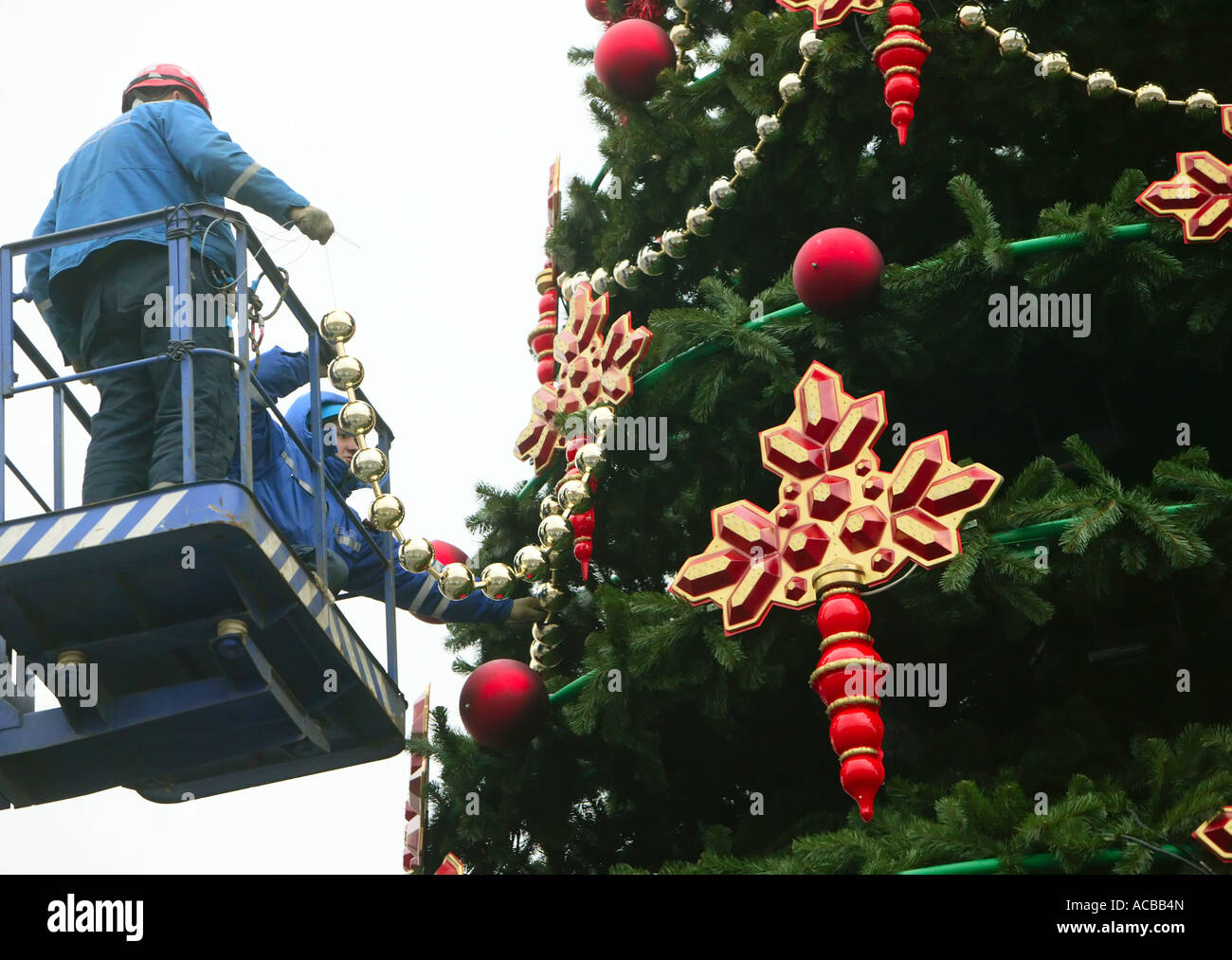 Man lifting christmas tree hi-res stock photography and images - Alamy