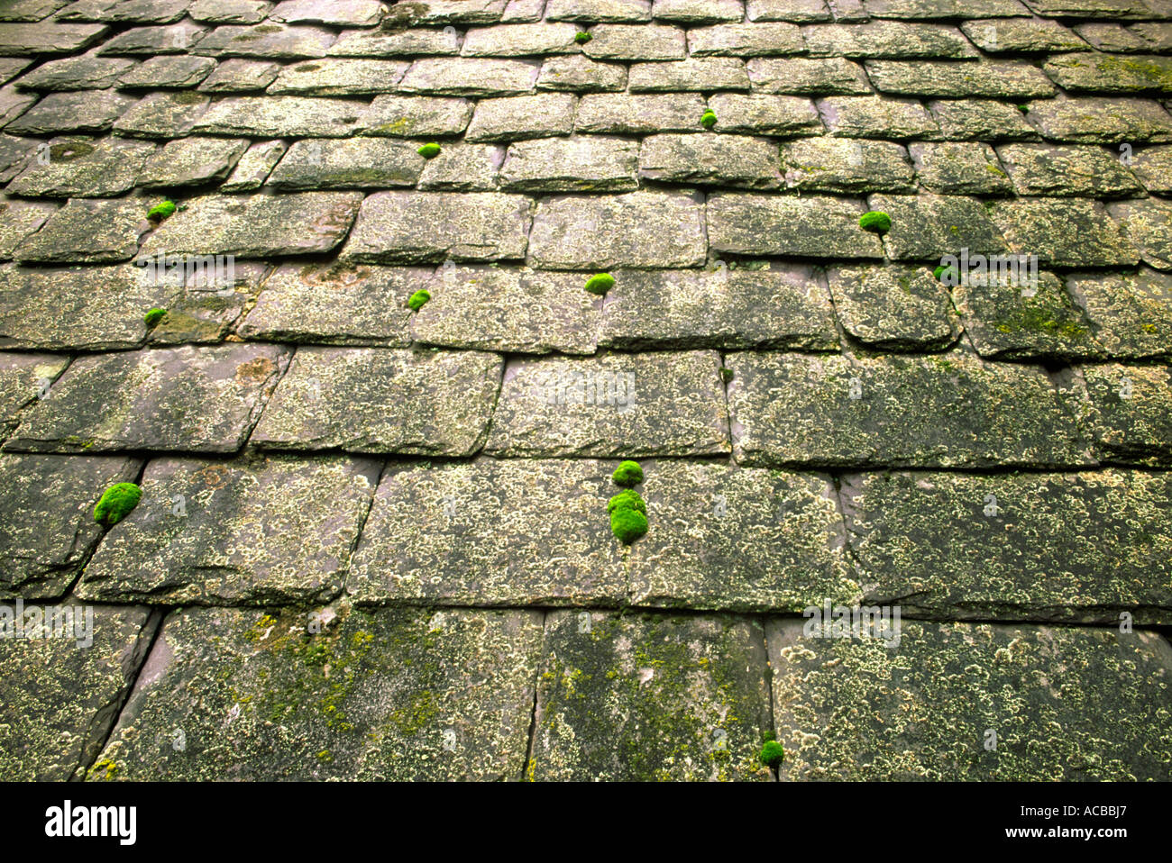 View of slate roof made from Swithland slate Newtown Linford ...