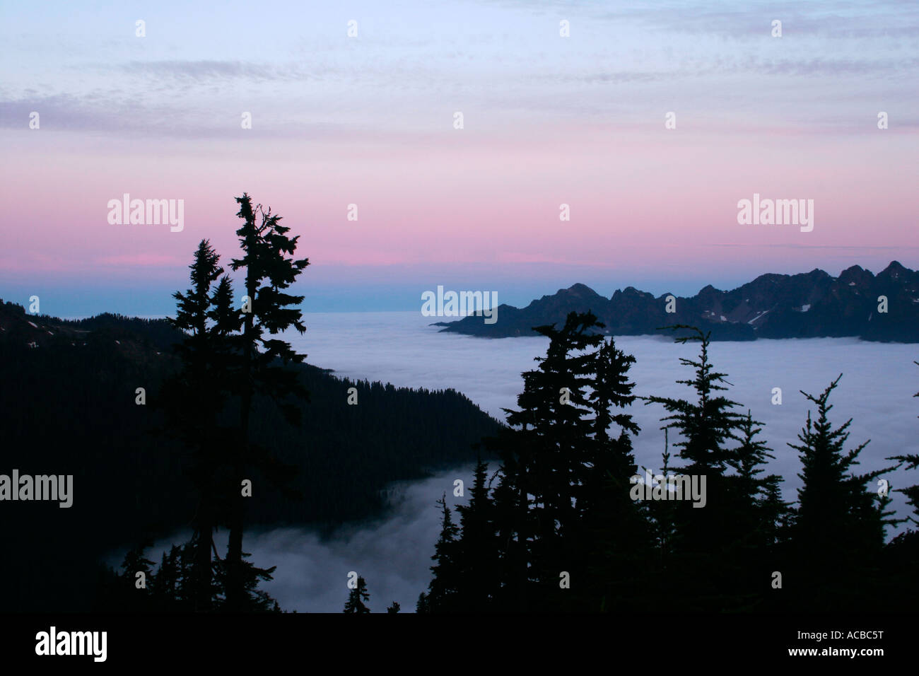 Low valley clouds in the Queets Valley at dawn from Lake Beauty Olympic ...