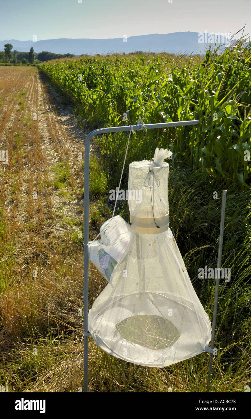 Insect sampling science hi-res stock photography and images - Alamy