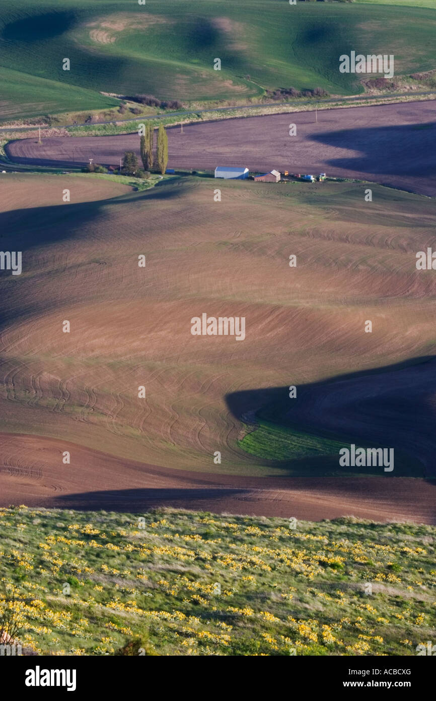 The Palouse as viewed from the summit of Kamiak Butte Washington Stock ...