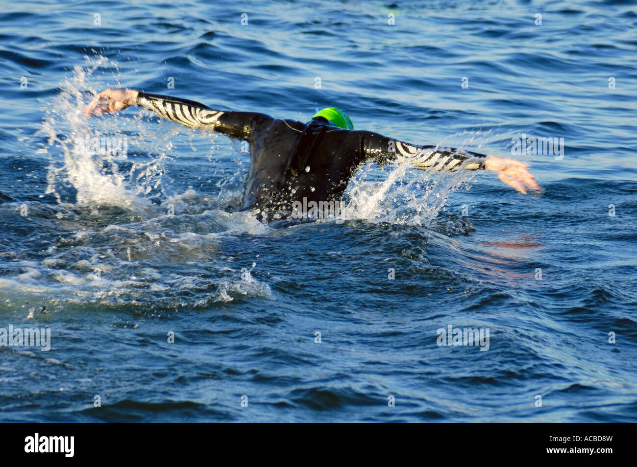 Butterfly stroke hi-res stock photography and images - Alamy
