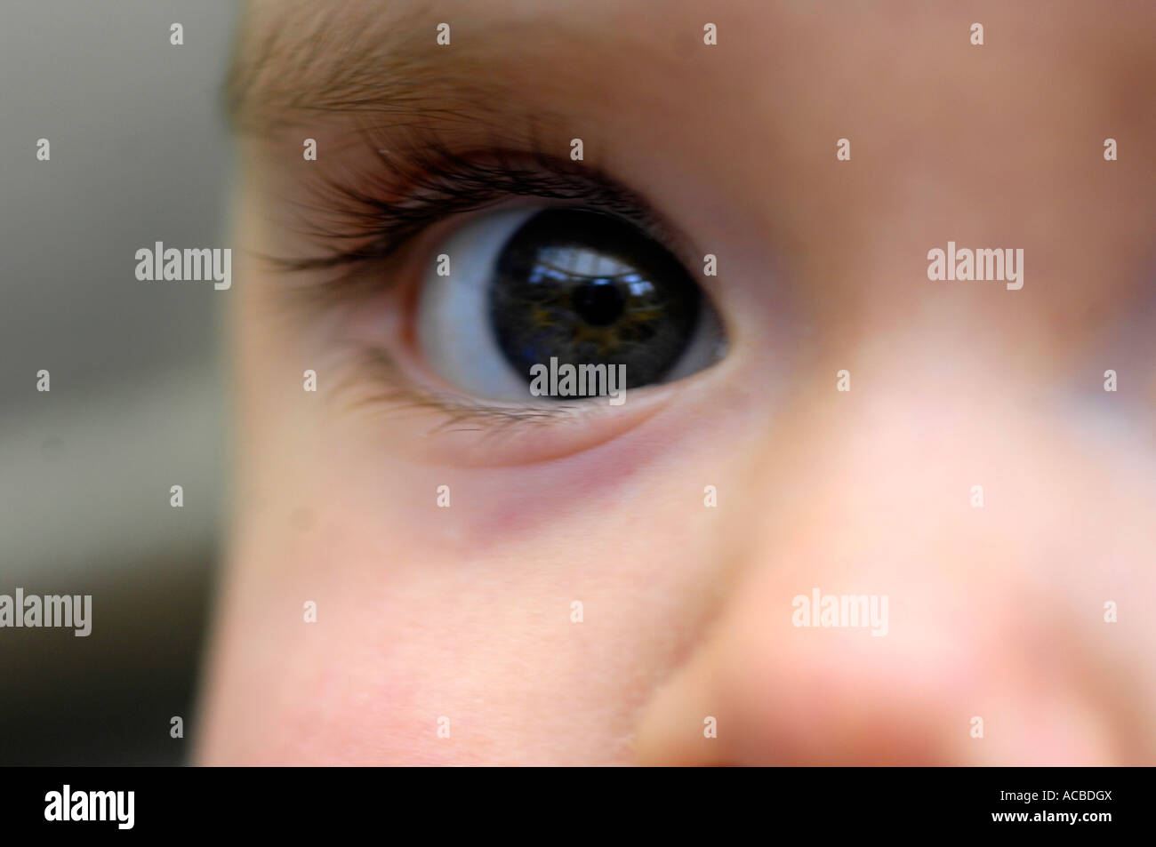 baby one year toddler caucasian boy male eye detail Stock Photo - Alamy