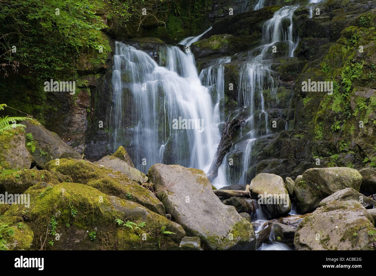 Torc waterfall Killarney national park county kerry Ireland Stock Photo ...