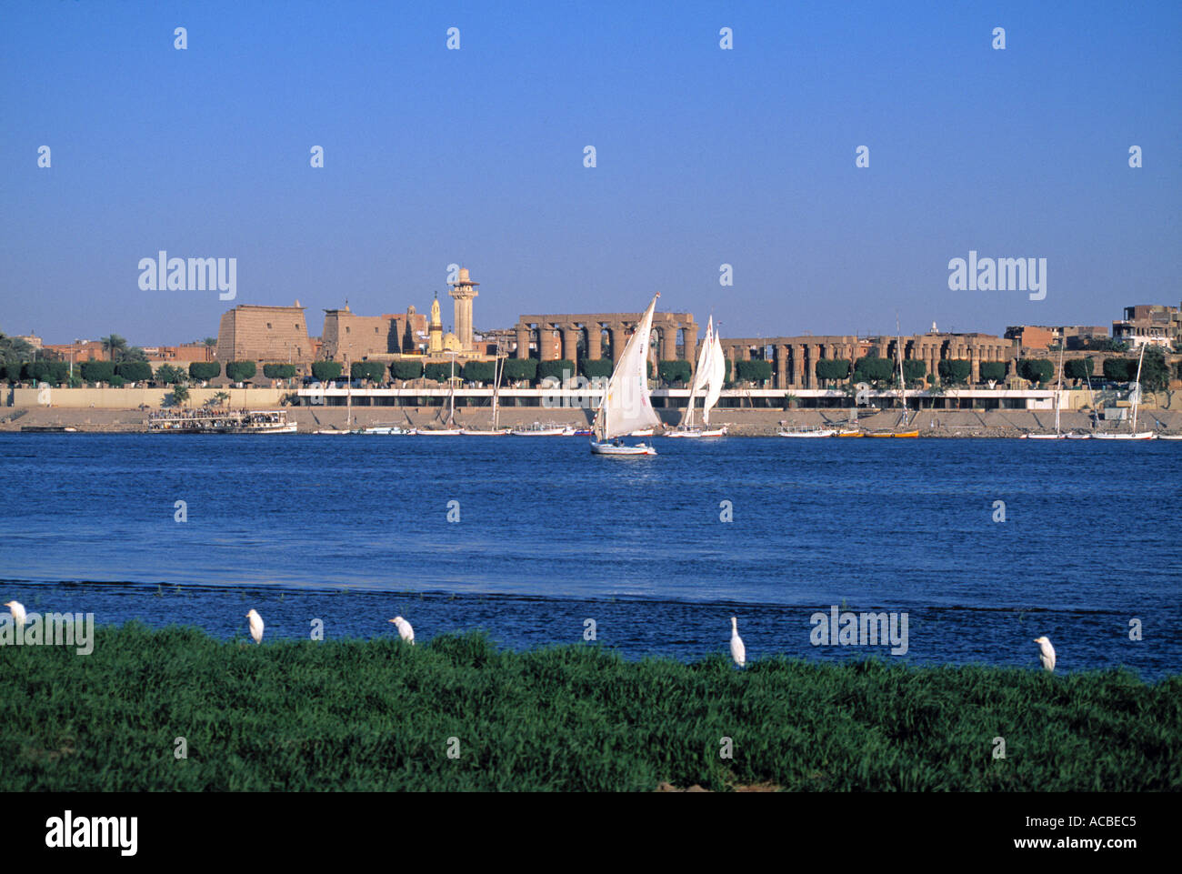 Luxor temple and River Nile Luxor Egypt Stock Photo - Alamy