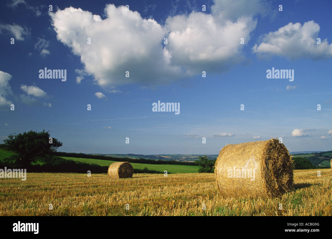Hay Bale, Devon, England, UK Stock Photo - Alamy