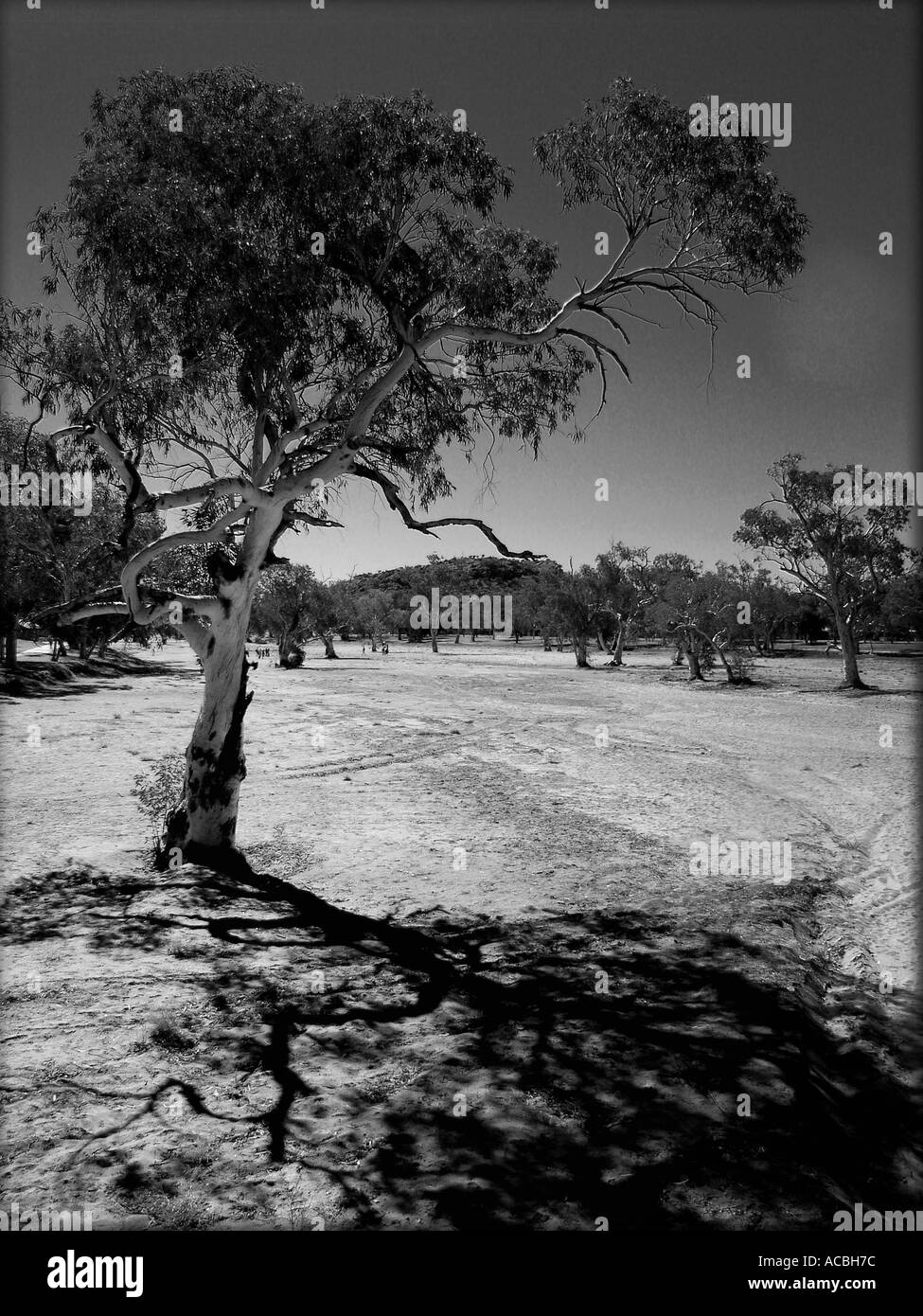 Todd river alice springs hi-res stock photography and images - Alamy