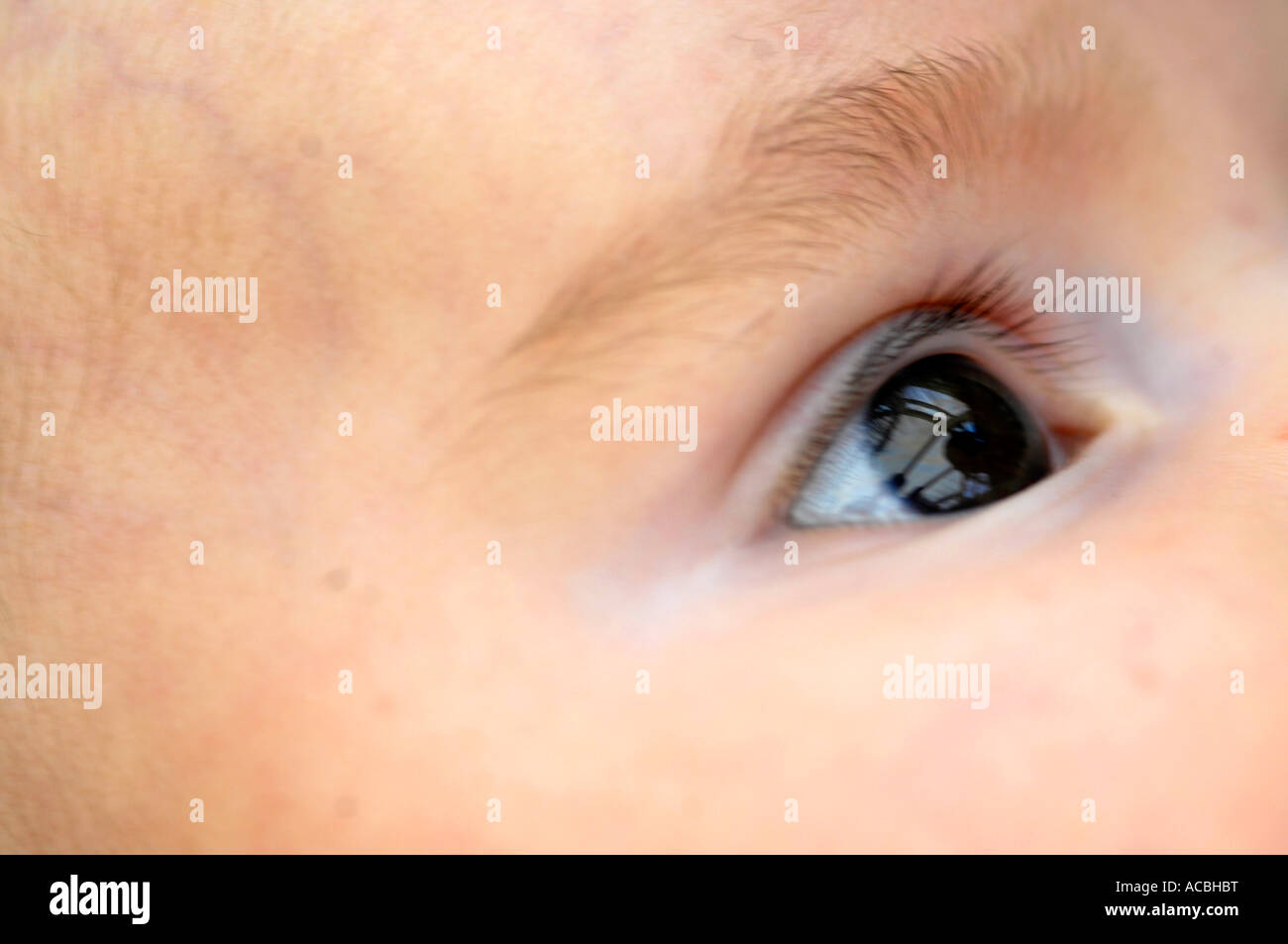 eye baby girl female caucasian detail macro close up see seeing sight ...