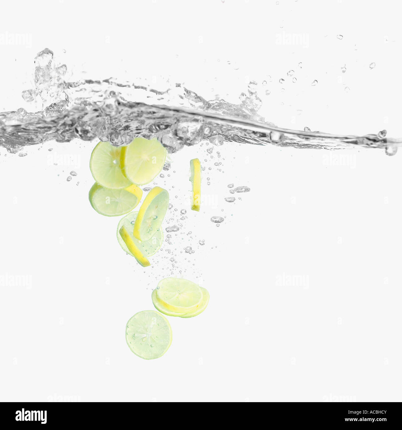 Underwater cross section Cut Out Stock Images & Pictures - Alamy