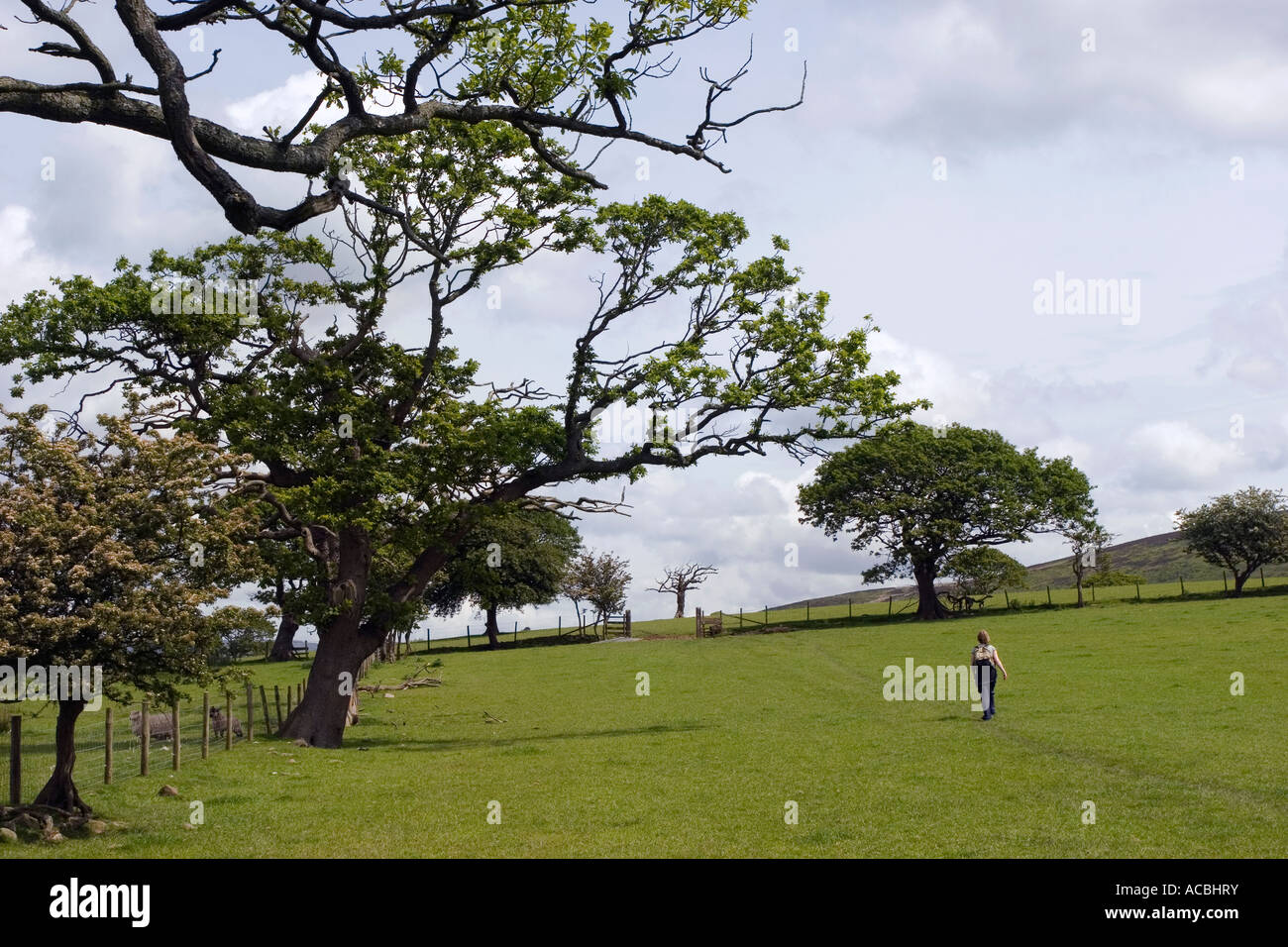 The village of scorton in lancashire hi-res stock photography and ...