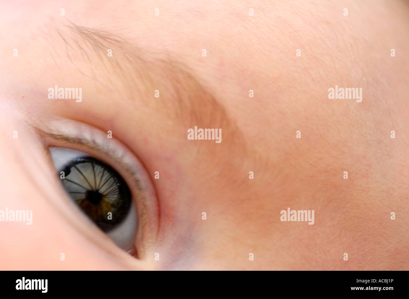 eye baby girl female caucasian detail macro close up see seeing sight ...