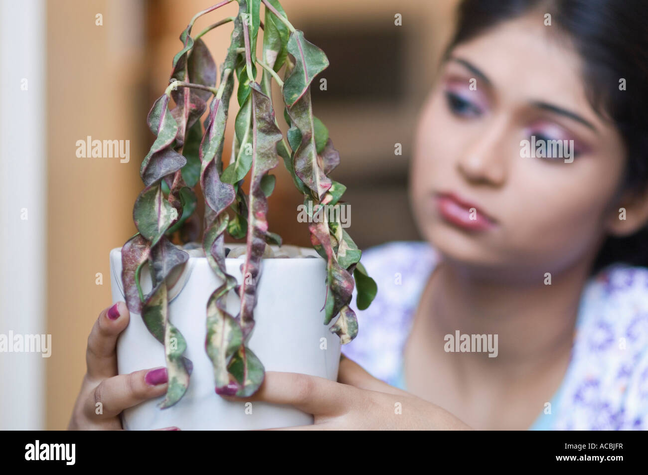 Woman holding dead plant hi-res stock photography and images - Alamy
