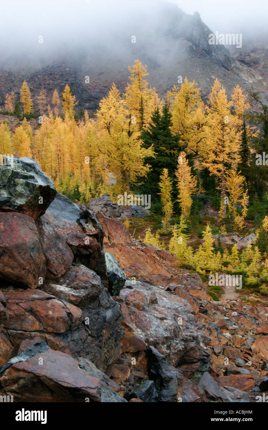Fall larches in Headlight Creek Basin Alpine Lakes Wilderness ...
