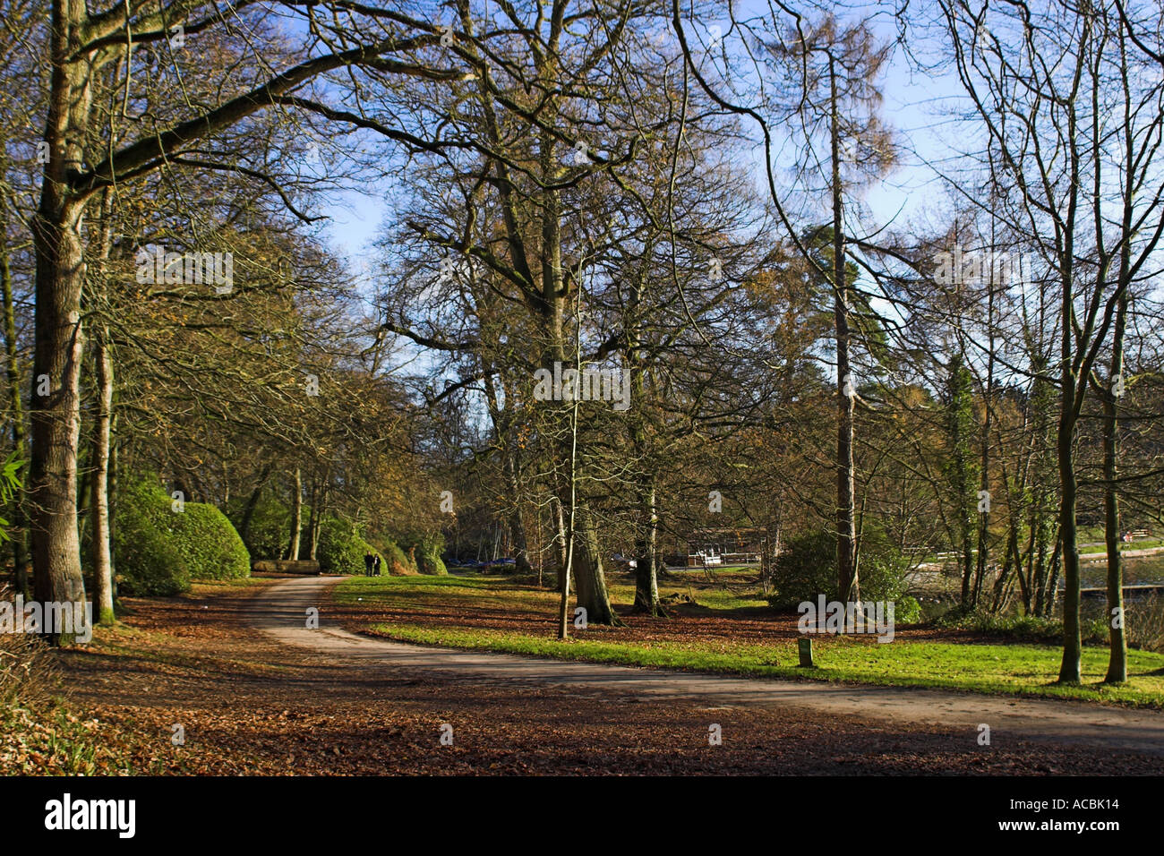Shearwater longleat estate hi-res stock photography and images - Alamy