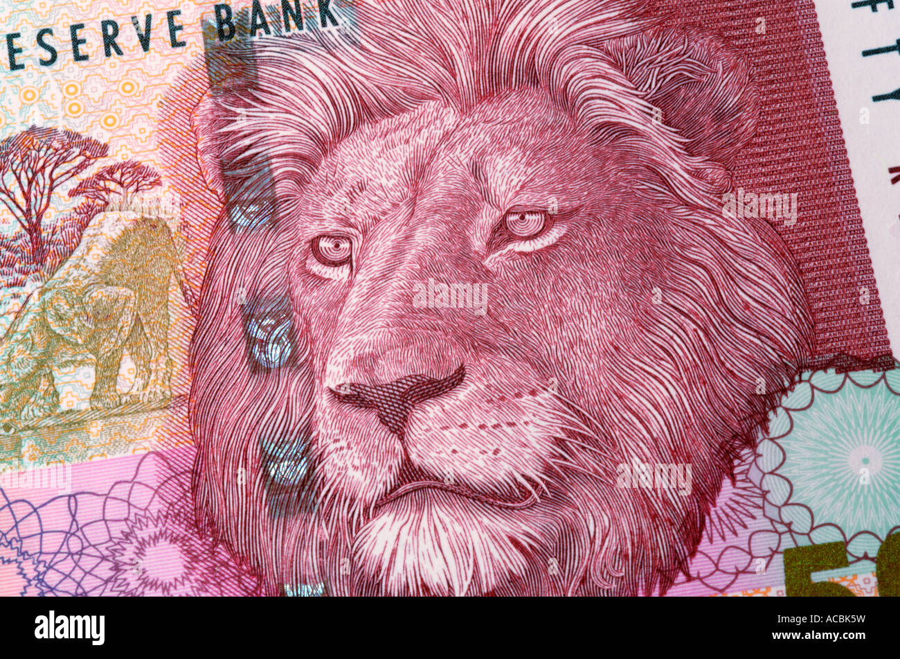 50 rand note hi-res stock photography and images - Alamy