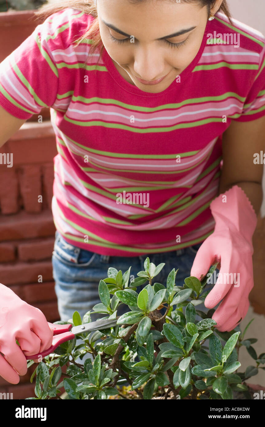 Close-up of a young woman cutting leaves with a pair of scissors Stock ...