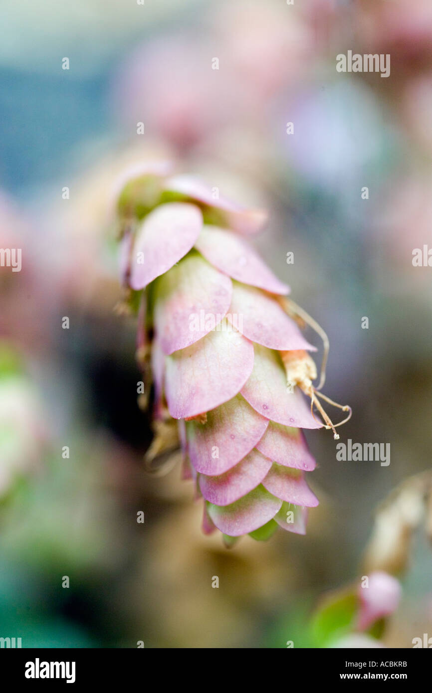 Funnel shape hi-res stock photography and images - Alamy