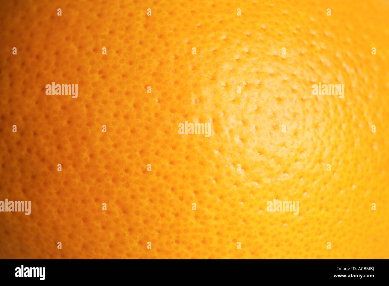 Extreme close up of skin of fresh orange Stock Photo - Alamy