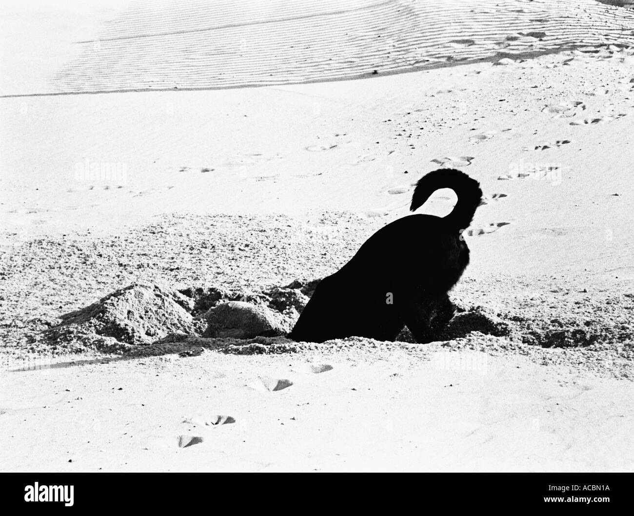 Ground stretching Black and White Stock Photos & Images - Alamy