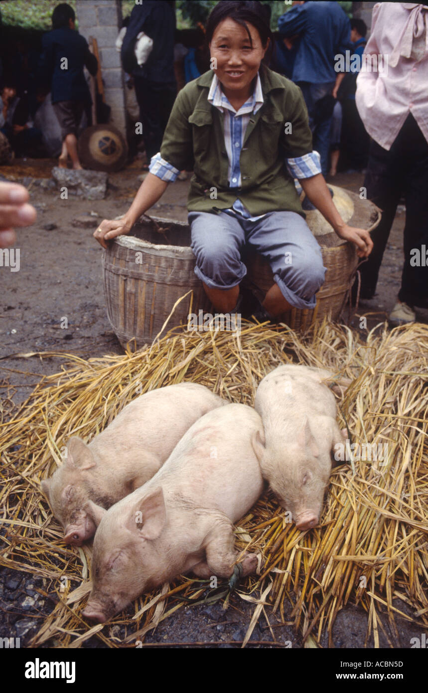 Selling piglings in a market in Hunan Stock Photo - Alamy