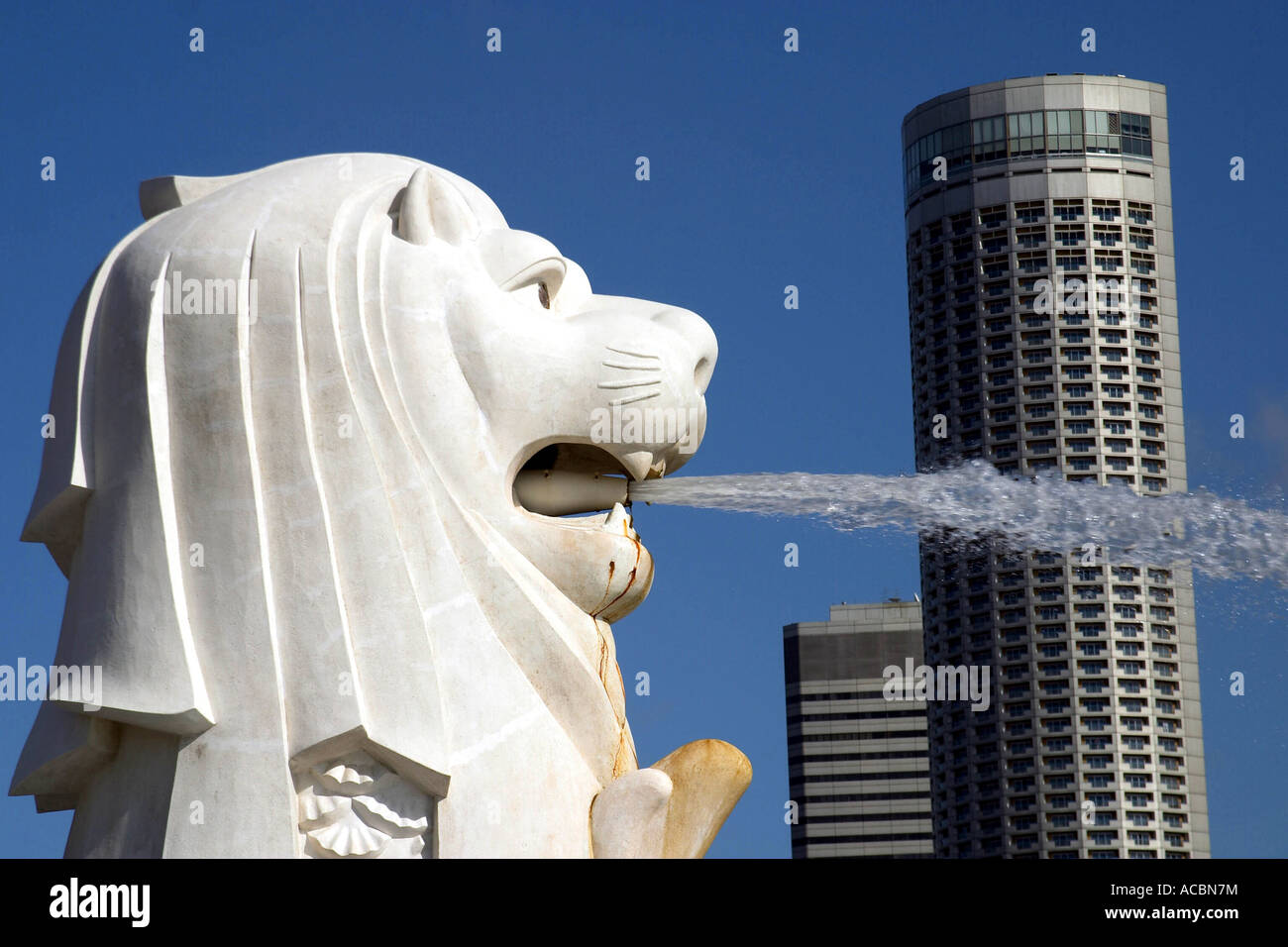 Singapore's famous Merlion Statue on Marina bay Stock Photo - Alamy