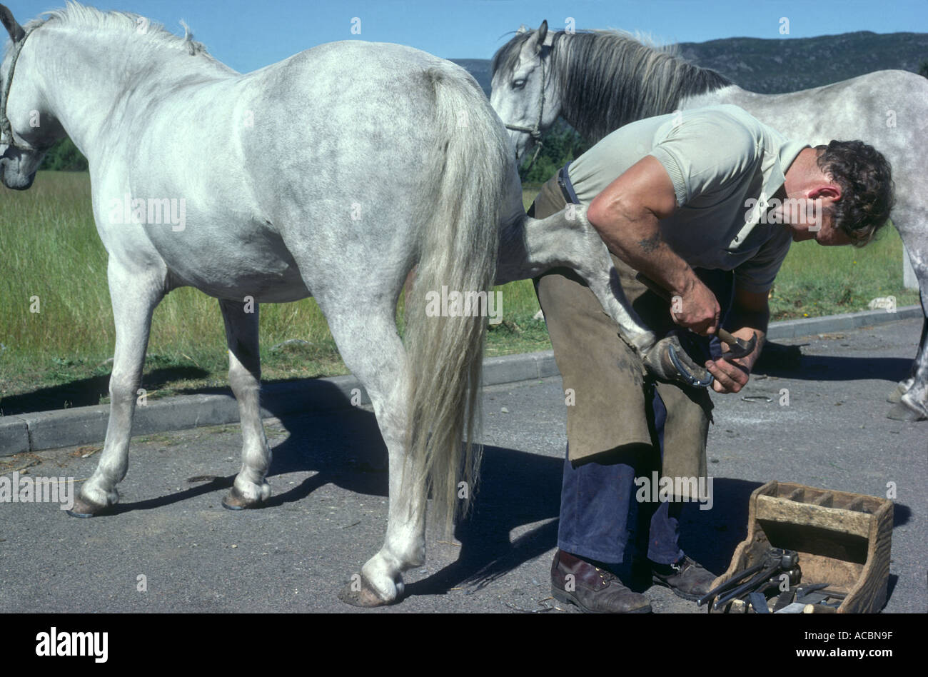 Farrier at Work Stock Photo - Alamy