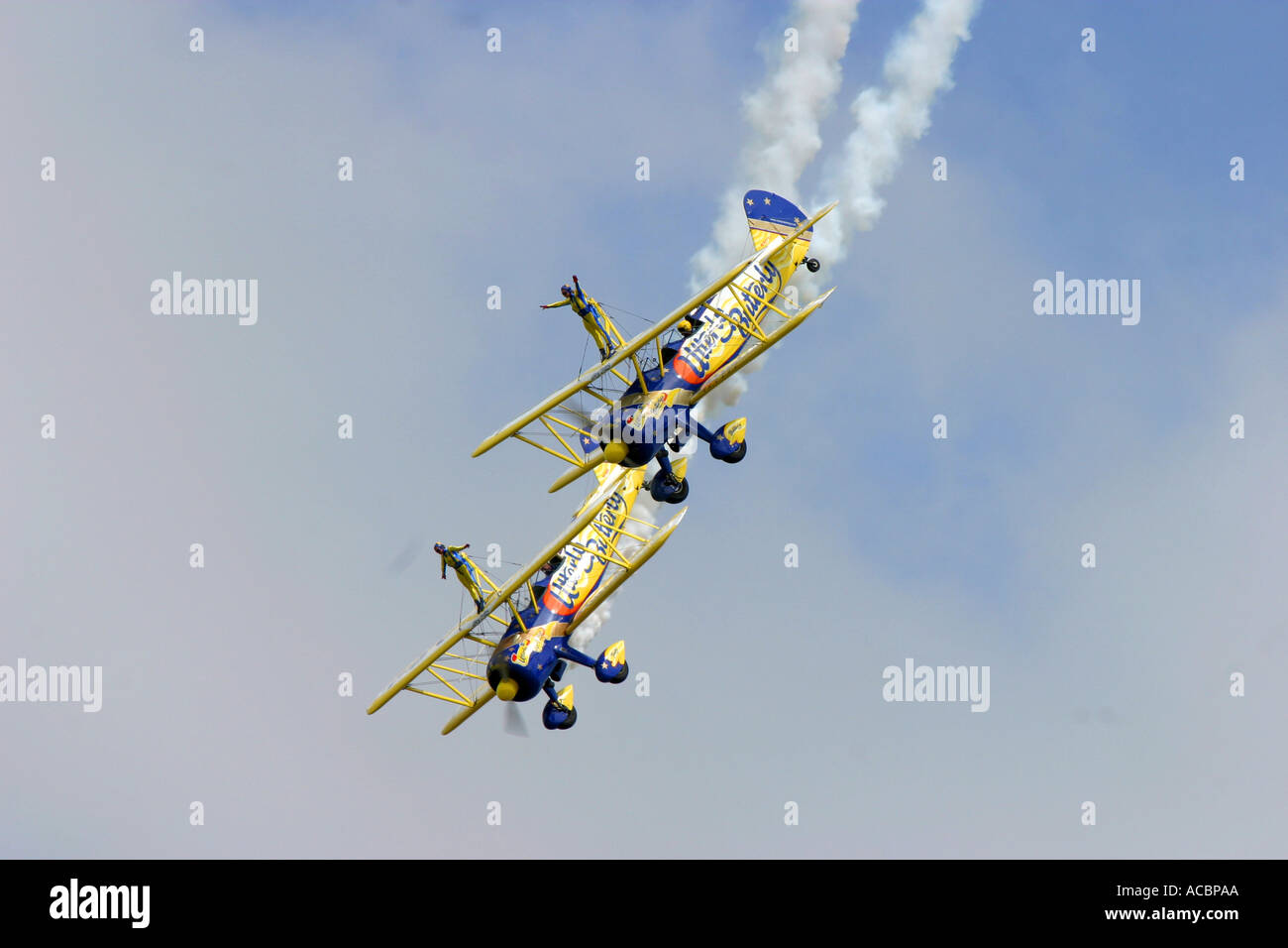 Utterly Butterly Wing Walker High Resolution Stock Photography and ...