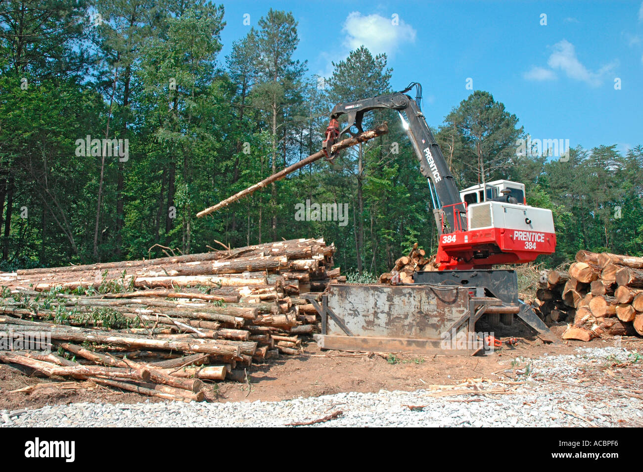 Clearing off land from trees for commercial homes and family ...