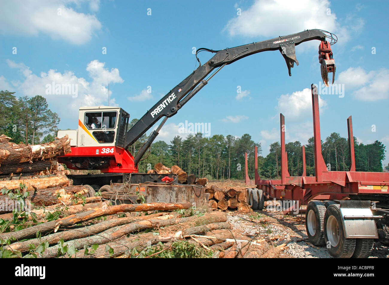 Clearing off land from trees for commercial homes and family ...