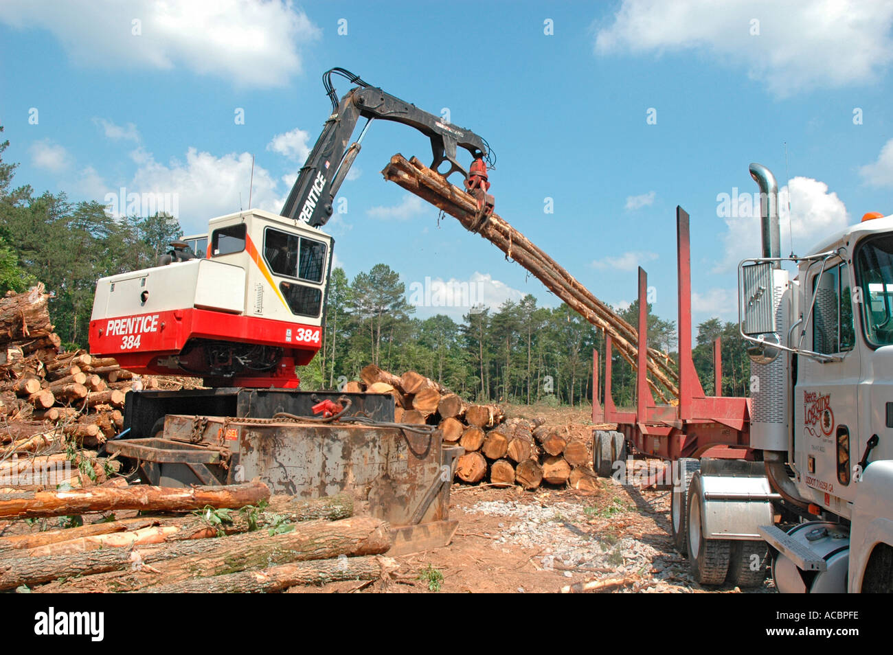 Clearing off land from trees for commercial homes and family ...