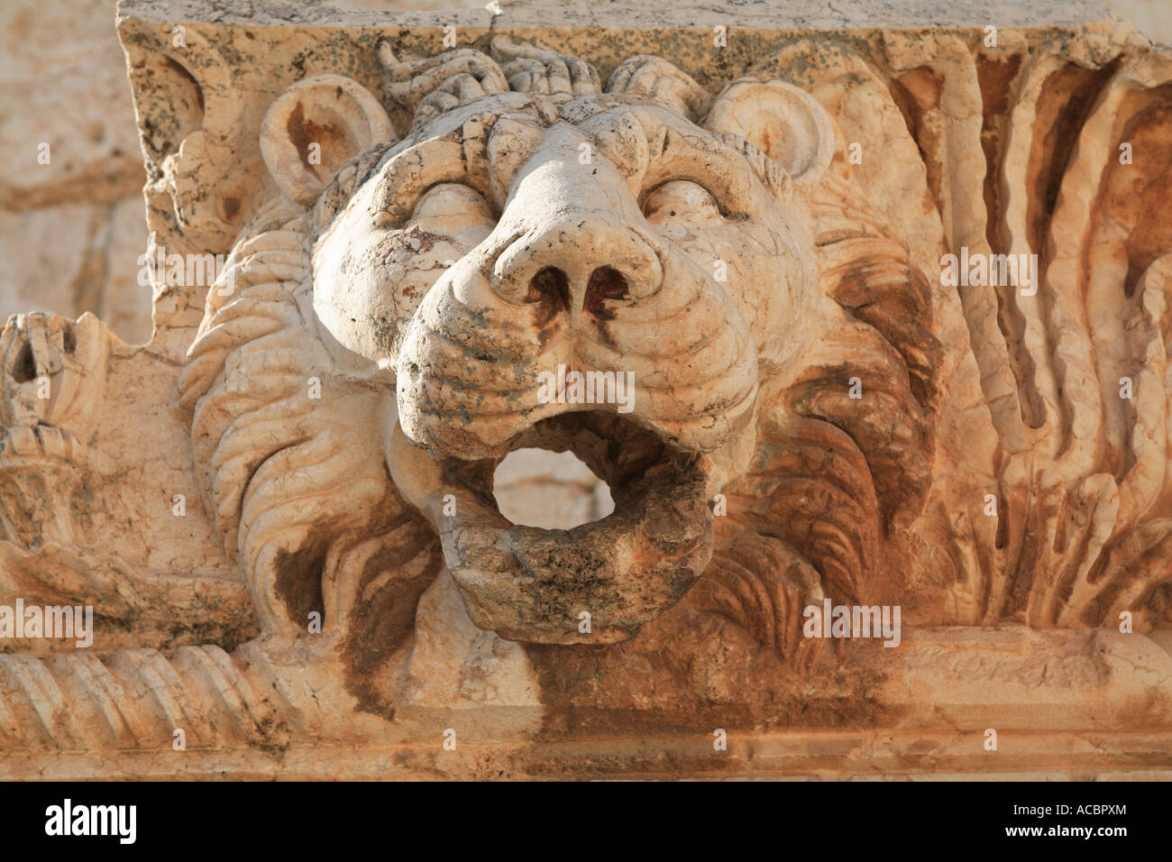 Lion Statue Jupiter Temple Baalbek complex Bekka Valley Lebanon Stock ...