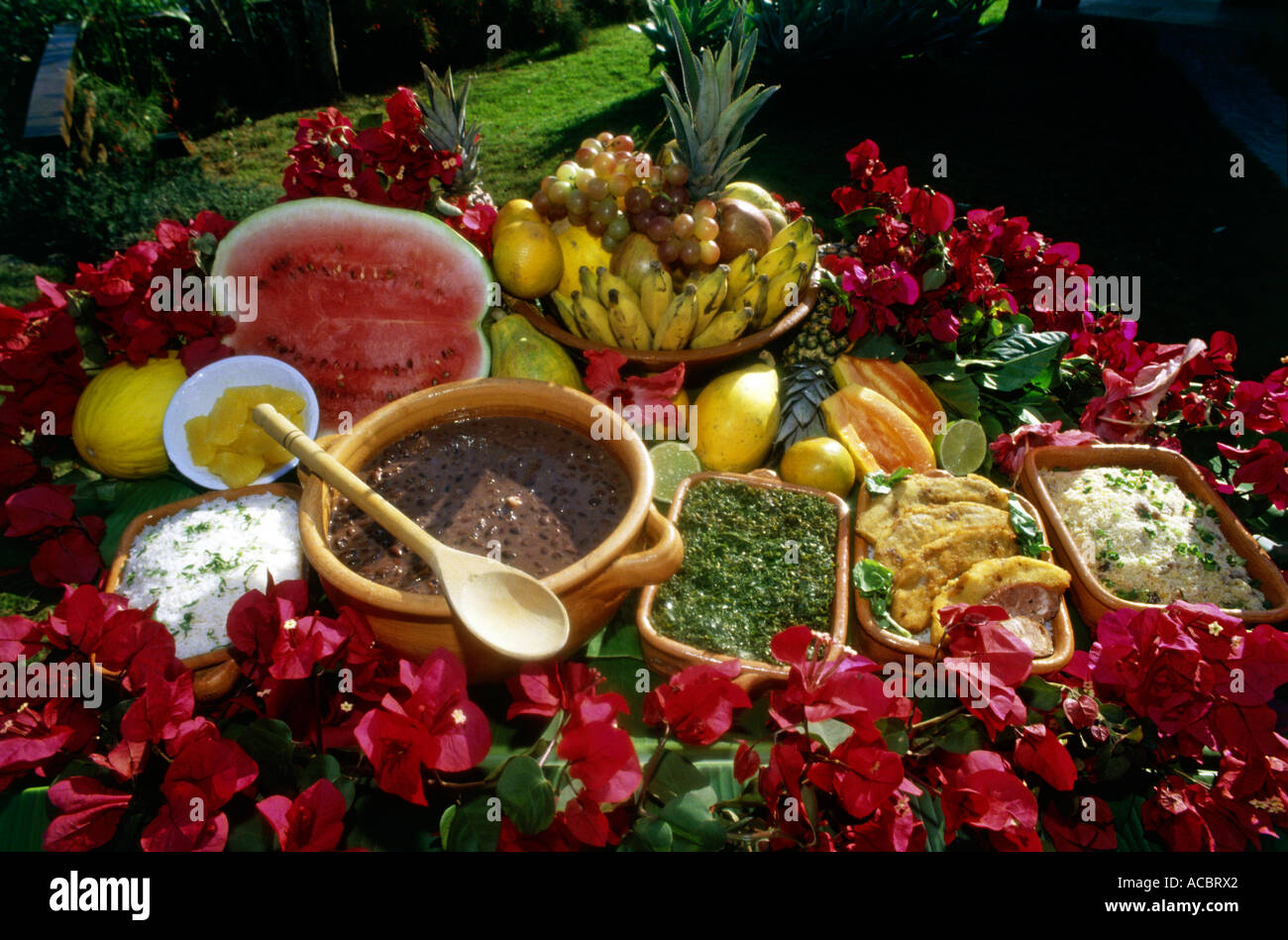 Manioc flower hi-res stock photography and images - Alamy