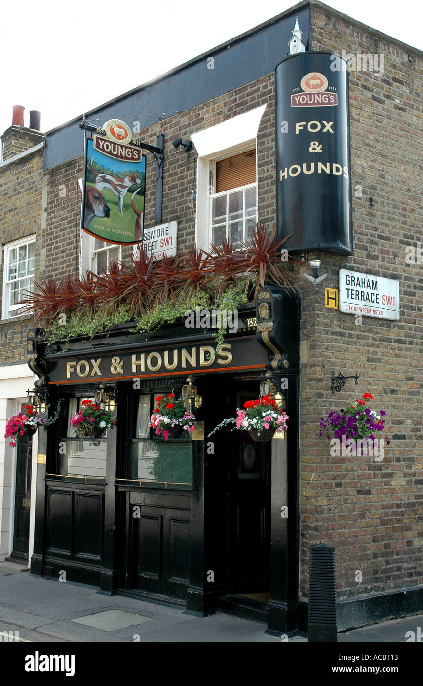 Chelsea fox hi-res stock photography and images - Alamy