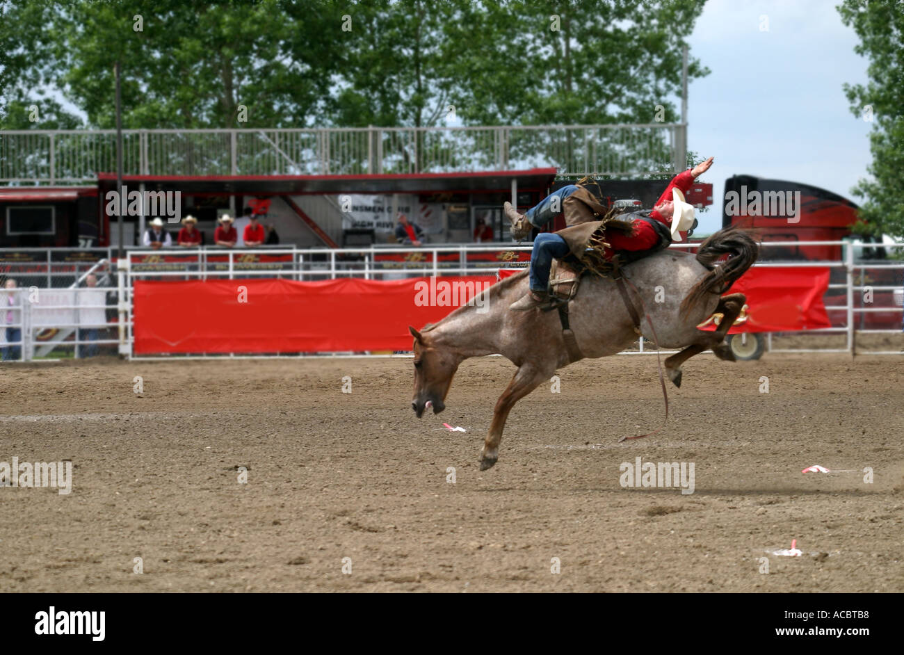 Rodeo Stampede Alberta Canada Bronco Riding Cowboy Stock Photo - Alamy