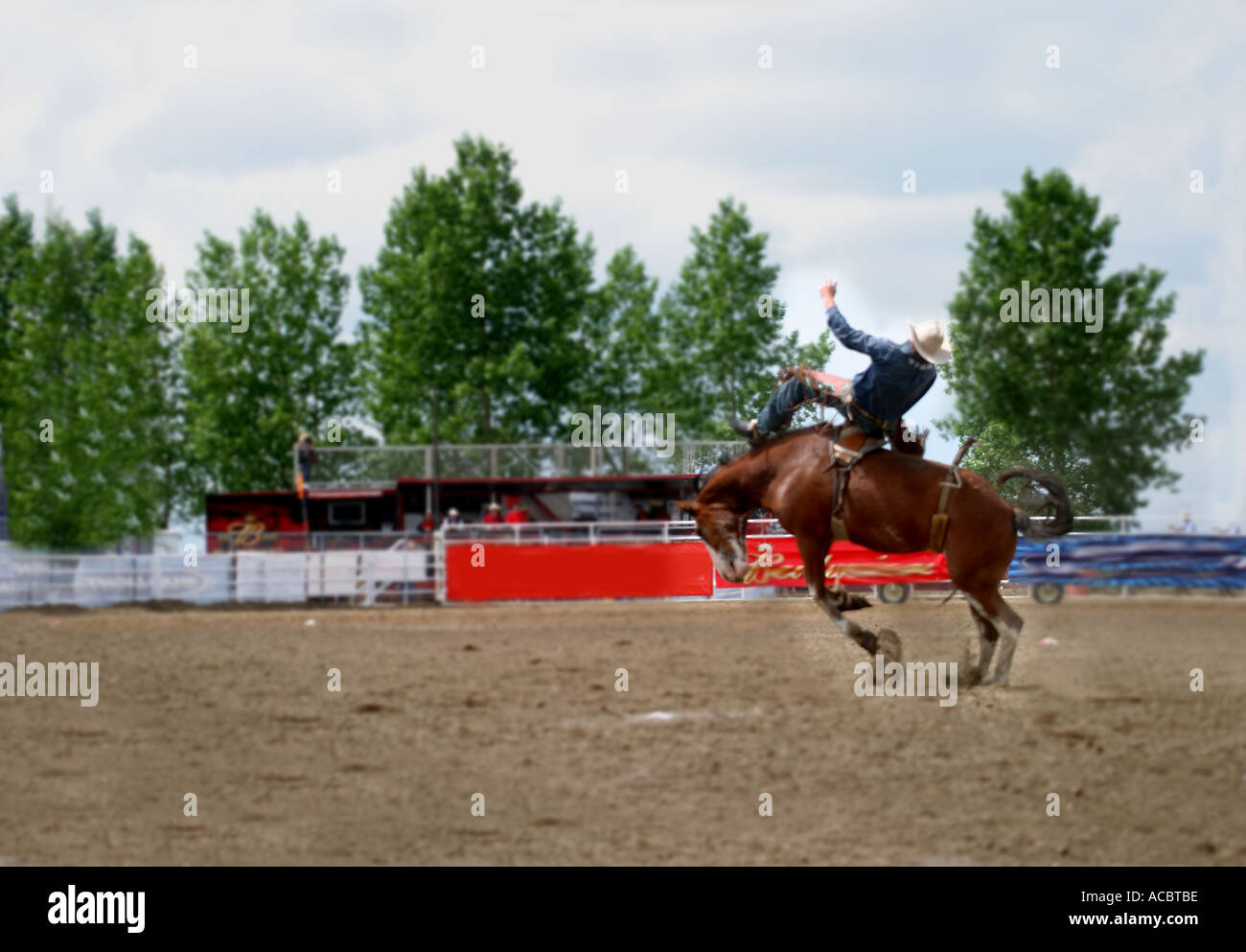 Rodeo Stampede Alberta Canada Bronco Riding Cowboy Stock Photo - Alamy